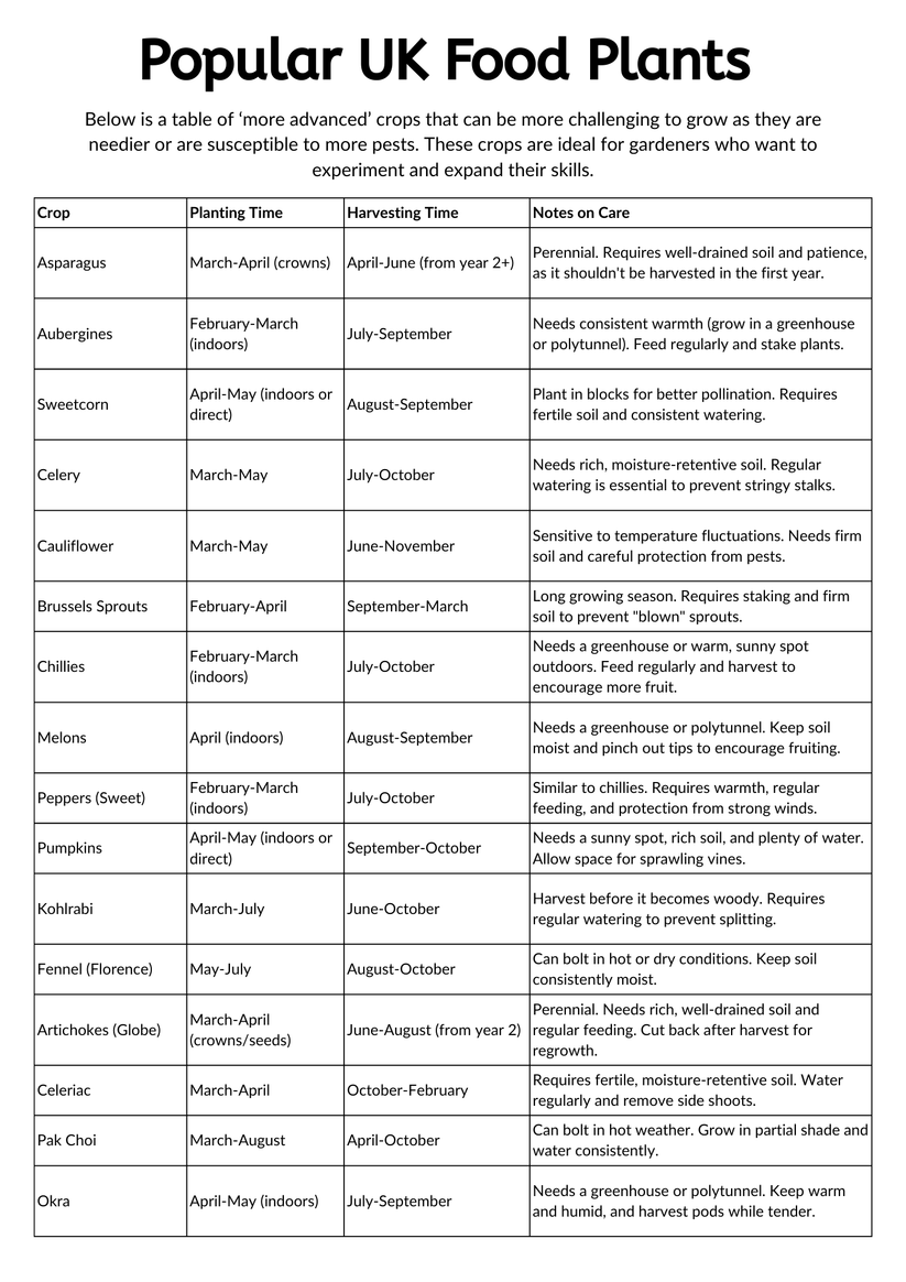 Digital PDF Growing Planner - Plan, Grow, and Harvest Your Best Garden – Wildly Chlo